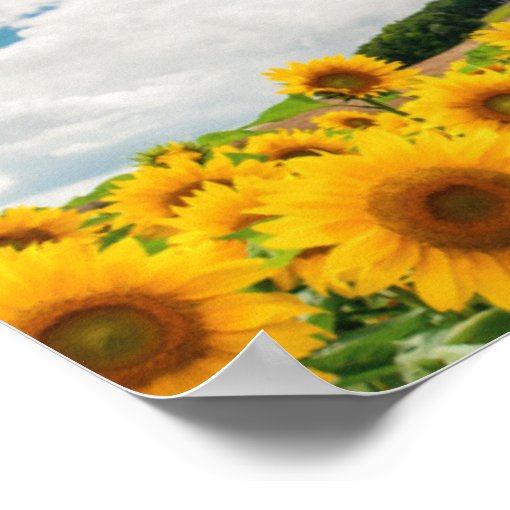 Sunflower Yellow Rustic Poster | Zazzle