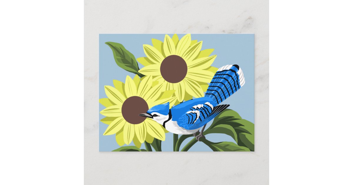 Sunflowers and Blue Jay Postcard | Zazzle