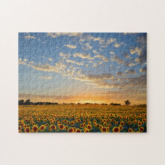 Sunflowers at Sunset Jigsaw Puzzle | Zazzle.com
