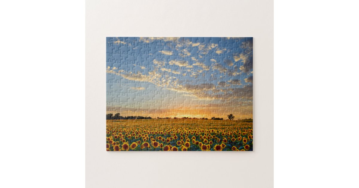 Sunflowers at Sunset Jigsaw Puzzle | Zazzle