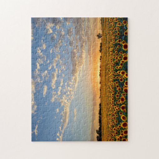 Sunflowers at Sunset Jigsaw Puzzle | Zazzle