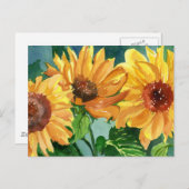 Sunflowers Postcard | Zazzle