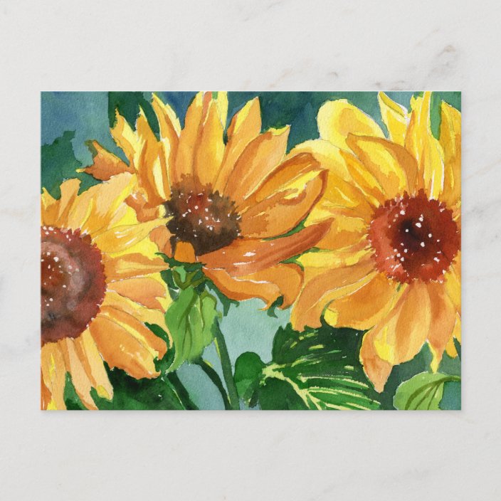 Sunflowers Postcard | Zazzle.com
