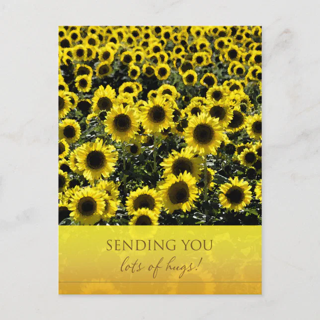 Sunflowers Postcard / Sending You Lots of Hugs | Zazzle