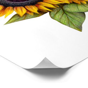 Sunflowers Poster | Zazzle