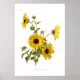 Sunflowers Poster | Zazzle