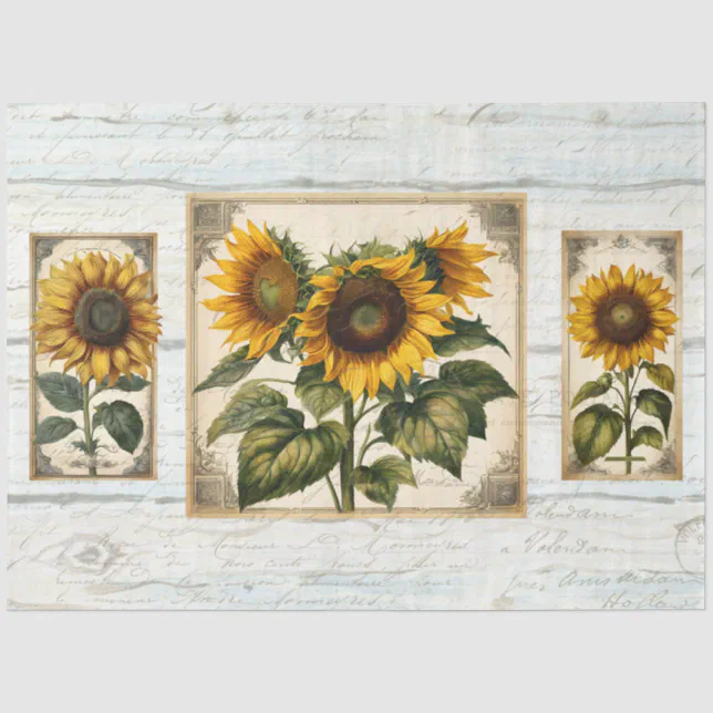 Sunflowers Script Ephemera Rustic Wood Decoupage Tissue Paper | Zazzle
