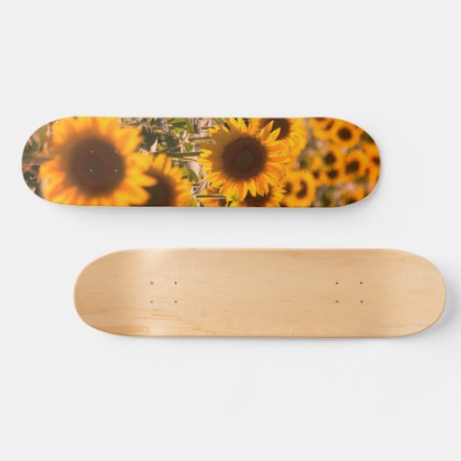 Sunflowers Skateboard | Zazzle