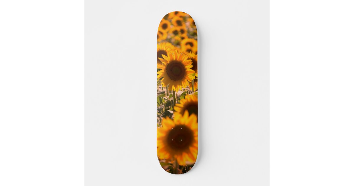 Sunflowers Skateboard | Zazzle