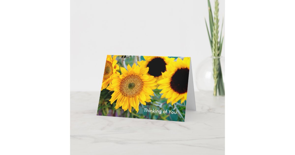 Sunflowers - Thinking of You Note Card | Zazzle