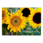 Sunflower thinking of you card | Zazzle.com