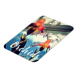 Sunlit Orchids Photo Magnet | Zazzle