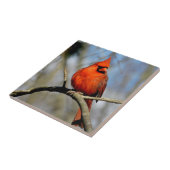 Sunny Cardinal Ceramic Tile | Zazzle