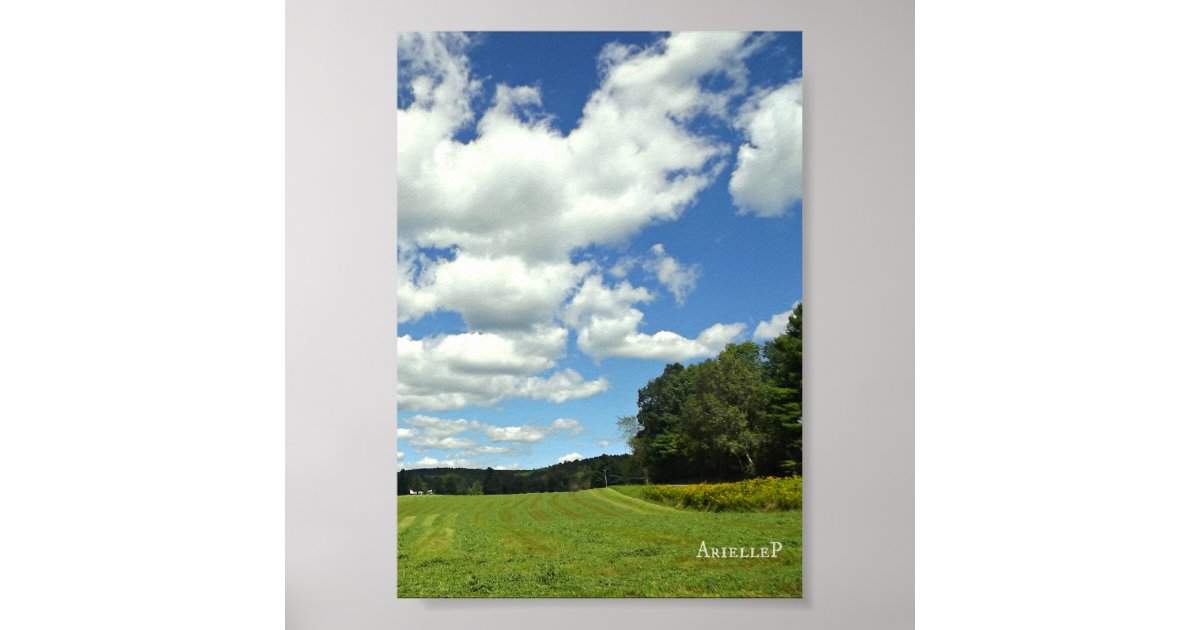 Sunny Day Poster | Zazzle