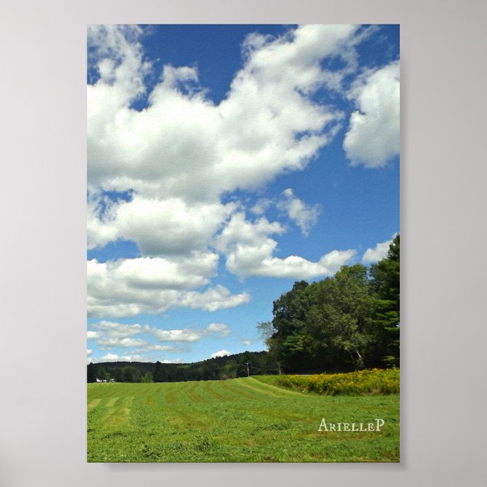 Sunny Day Poster | Zazzle.com