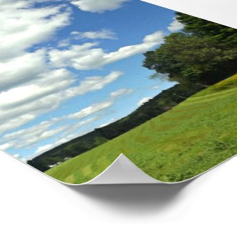 Sunny Day Poster | Zazzle