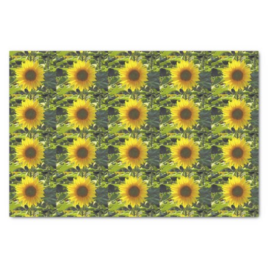 Sunny Gold Sunflower Tissue Paper | Zazzle.com