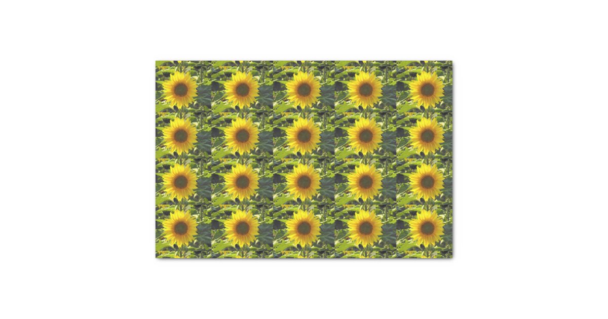 Sunny Gold Sunflower Tissue Paper | Zazzle