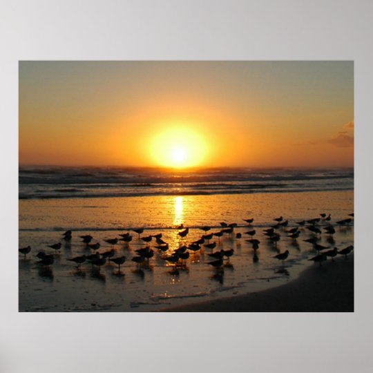 Sunrise Poster | Zazzle.com