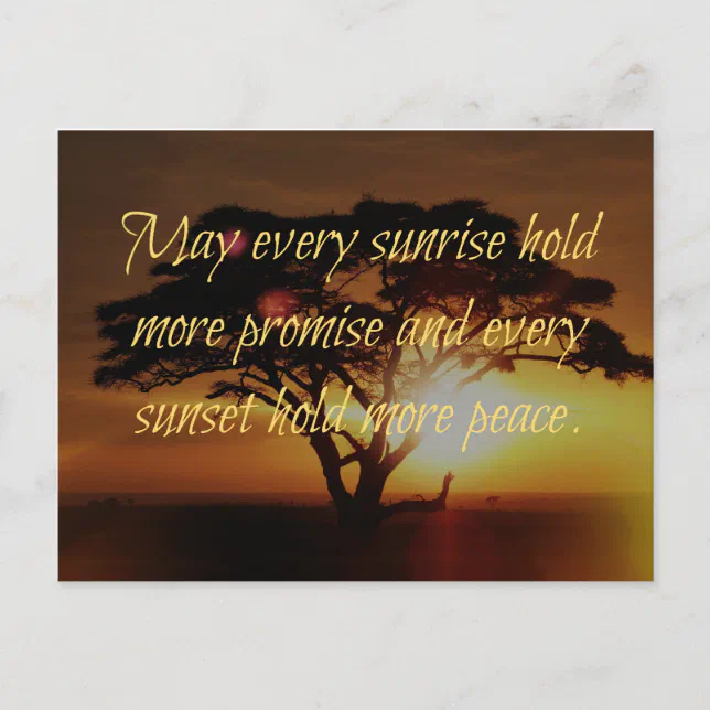 Sunrise, Sunset Postcard | Zazzle
