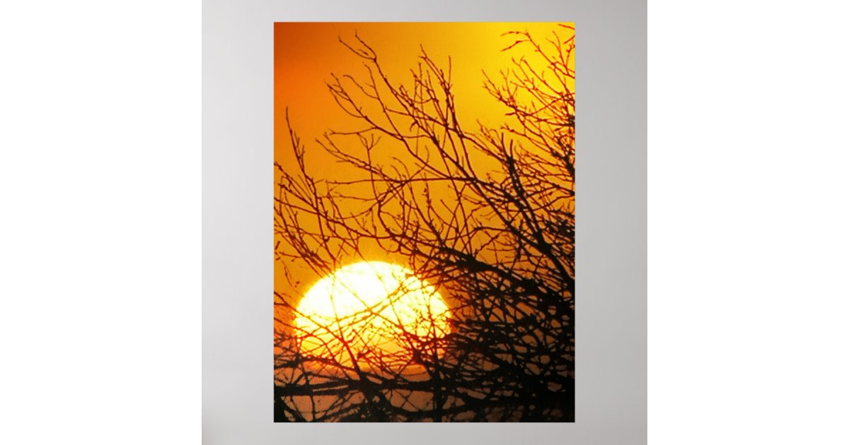 Sunset Delights Poster | Zazzle
