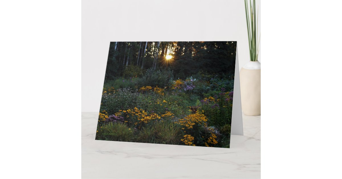 Sunset Mid-September Gardens Card | Zazzle