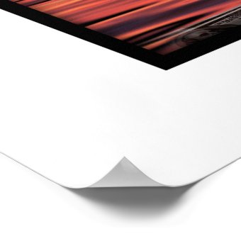 Sunset Money Tree on a Windy Day Poster | Zazzle