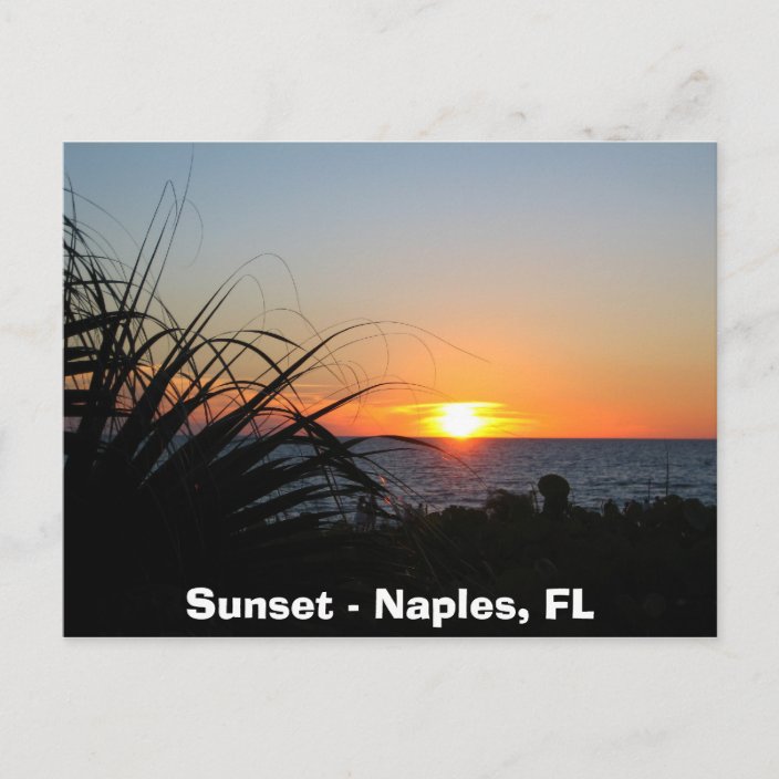 Sunset - Naples, FL Postcard | Zazzle.com