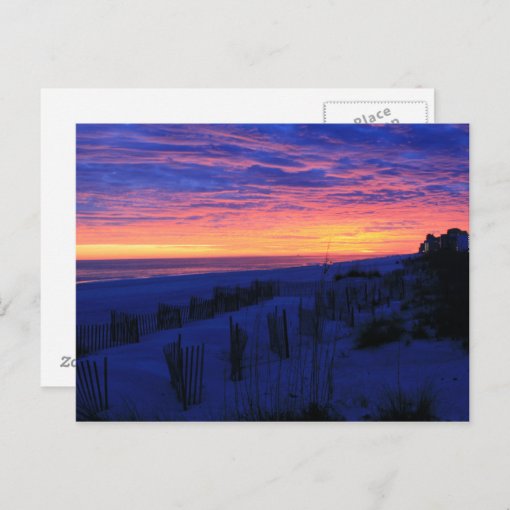 Sunset on Alabama's Beaches Postcard | Zazzle