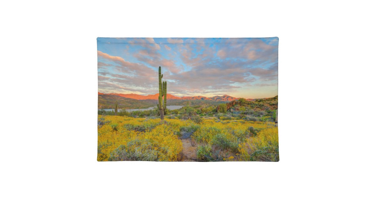 Sunset on Desert Landscape Cloth Placemat | Zazzle