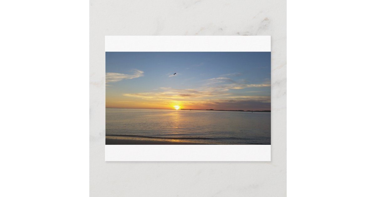 Sunset on Thanksgiving. Holiday Postcard | Zazzle
