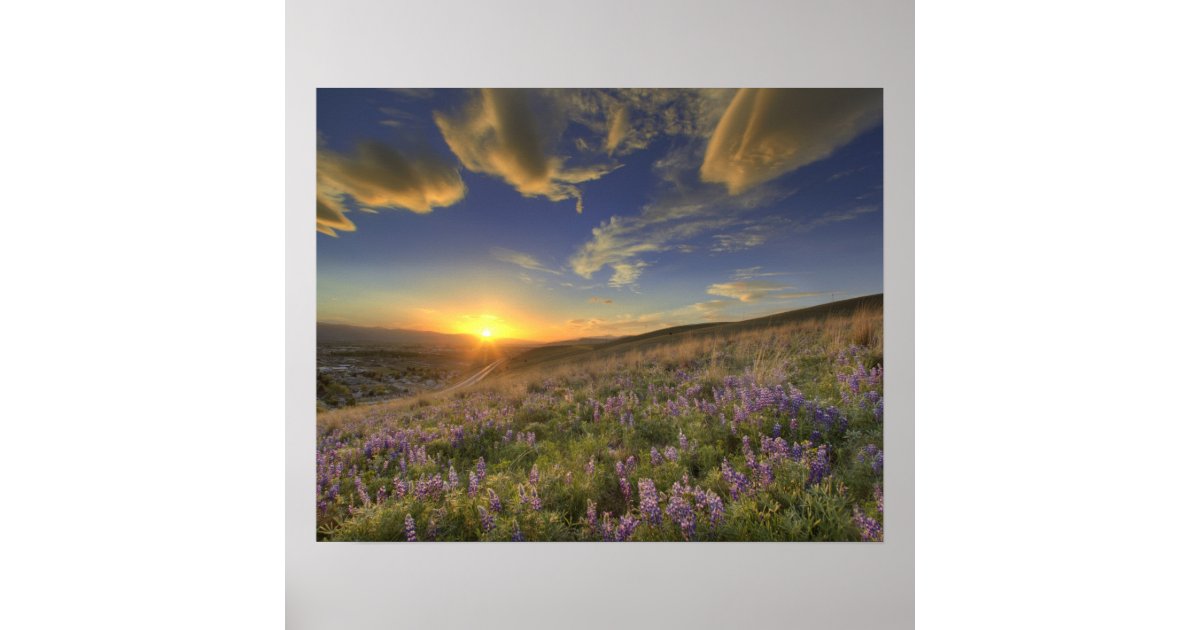Sunset over the Bitterroot Mountains and vast Poster | Zazzle