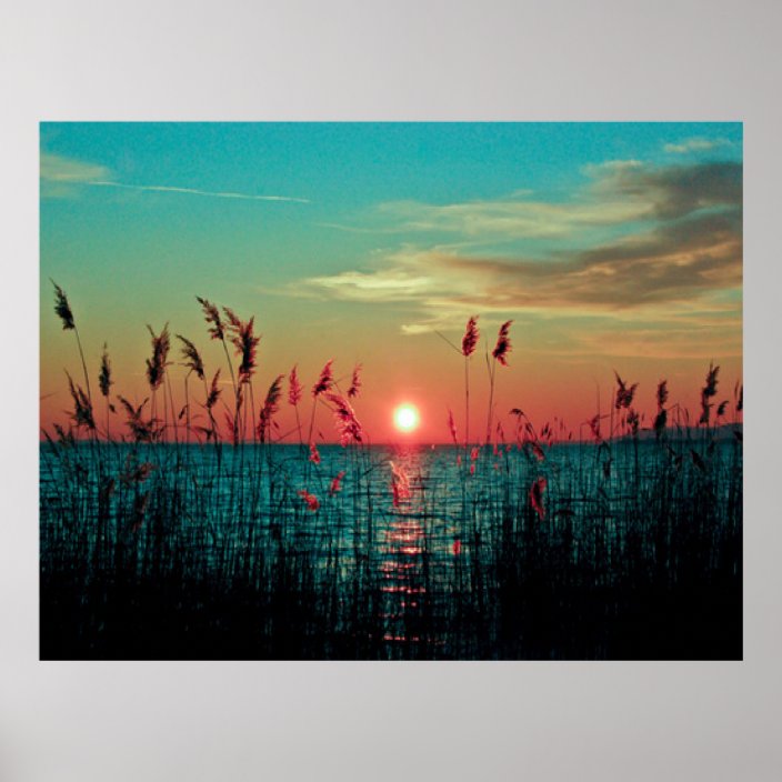 Sunset Poster | Zazzle.com