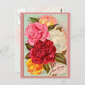 Sunset Roses Postcard | Zazzle