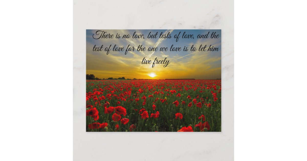 sunset sun postcard | Zazzle