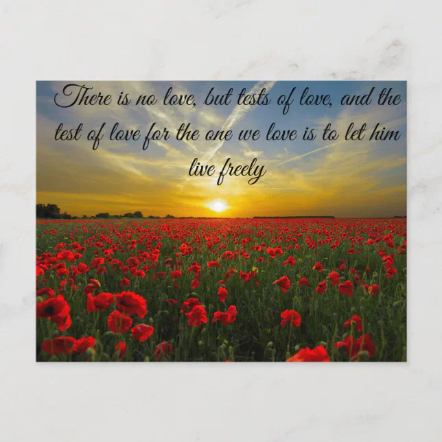 sunset sun postcard | Zazzle