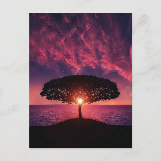 Sunset Tree Postcard | Zazzle