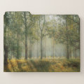 Sunshine in the Forest. File Folder | Zazzle