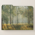 Sunshine in the Forest. File Folder | Zazzle
