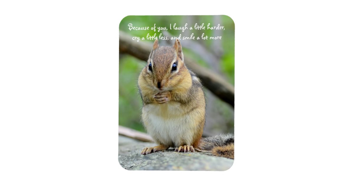 Super Cute Chipmunk Friendship Quote Magnet | Zazzle