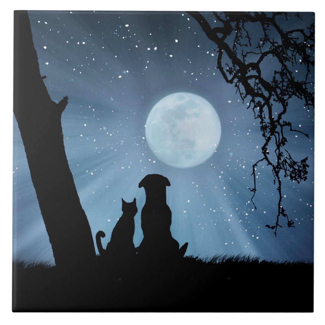 Super cute Dog and Cat with Moon Art Ceramic Tile | Zazzle