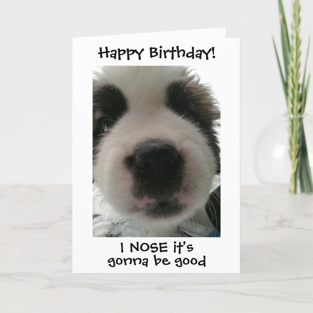 Super Cute Puppy I Nose its Your Birthday Custom Card | Zazzle