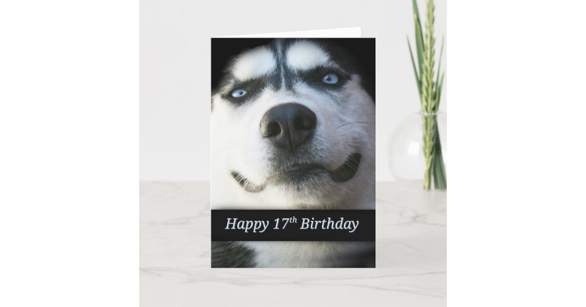 Super Cute Teenage Happy 17th Birthday Card | Zazzle