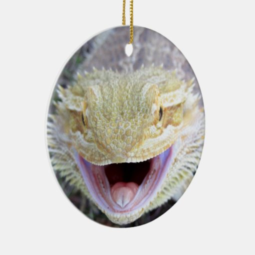 Super Happy Bearded Dragon Ceramic Ornament | Zazzle