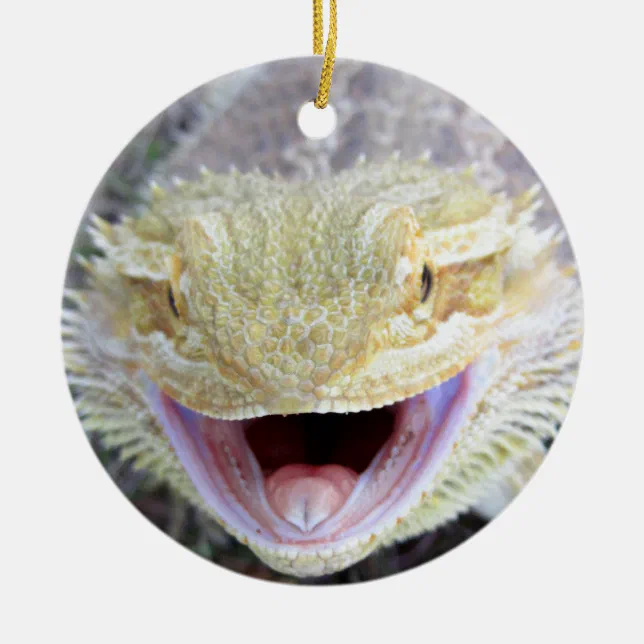Super Happy Bearded Dragon Ceramic Ornament | Zazzle