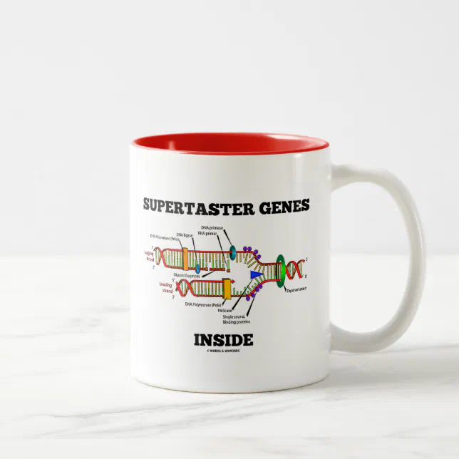 Supertaster Genes Inside (DNA Replication) Two-Tone Coffee Mug | Zazzle