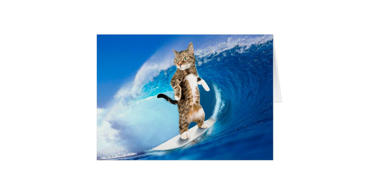 Surfcat -surfing cat - crazy cat | Zazzle