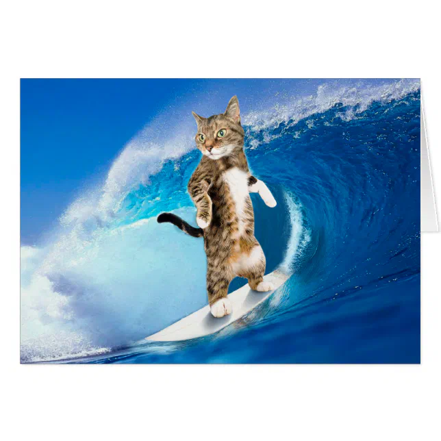 Surfcat -surfing cat - crazy cat | Zazzle