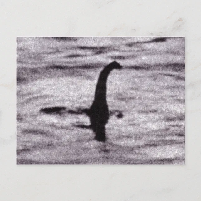 Surgeon's Photo Postcard | Zazzle