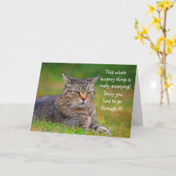 Surgery Get Well Funny Cat Card | Zazzle